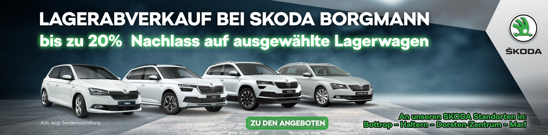Autohaus Borgmann 10 Standorte für Opel, Ford, Skoda, Hyundai, Toyota