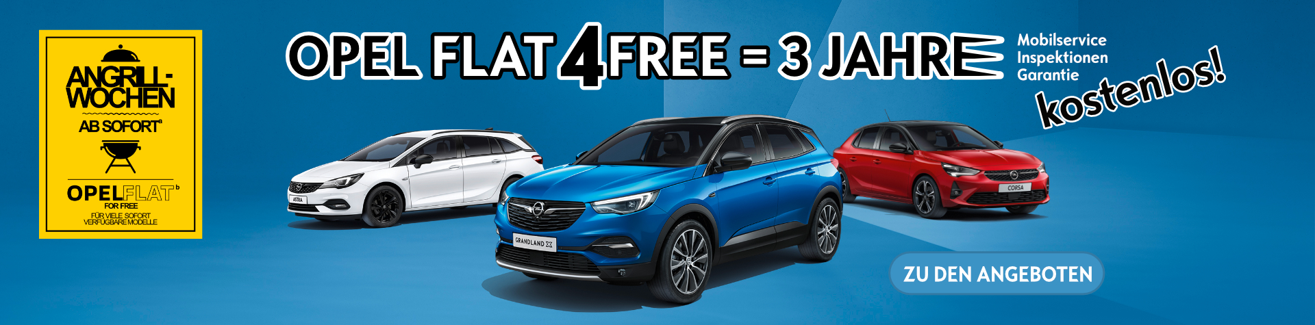 Autohaus Borgmann 10 Standorte für Opel, Ford, Skoda, Hyundai, Toyota