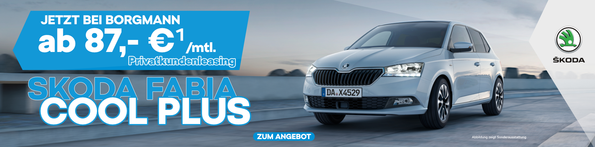 Autohaus Borgmann 10 Standorte für Opel, Ford, Skoda, Hyundai, Toyota